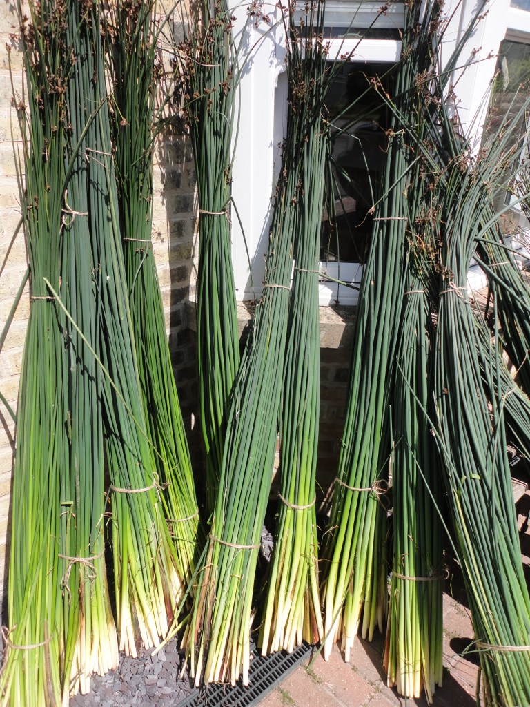 Beginners Rush Weaving Workshop – Ely Basketmaker
