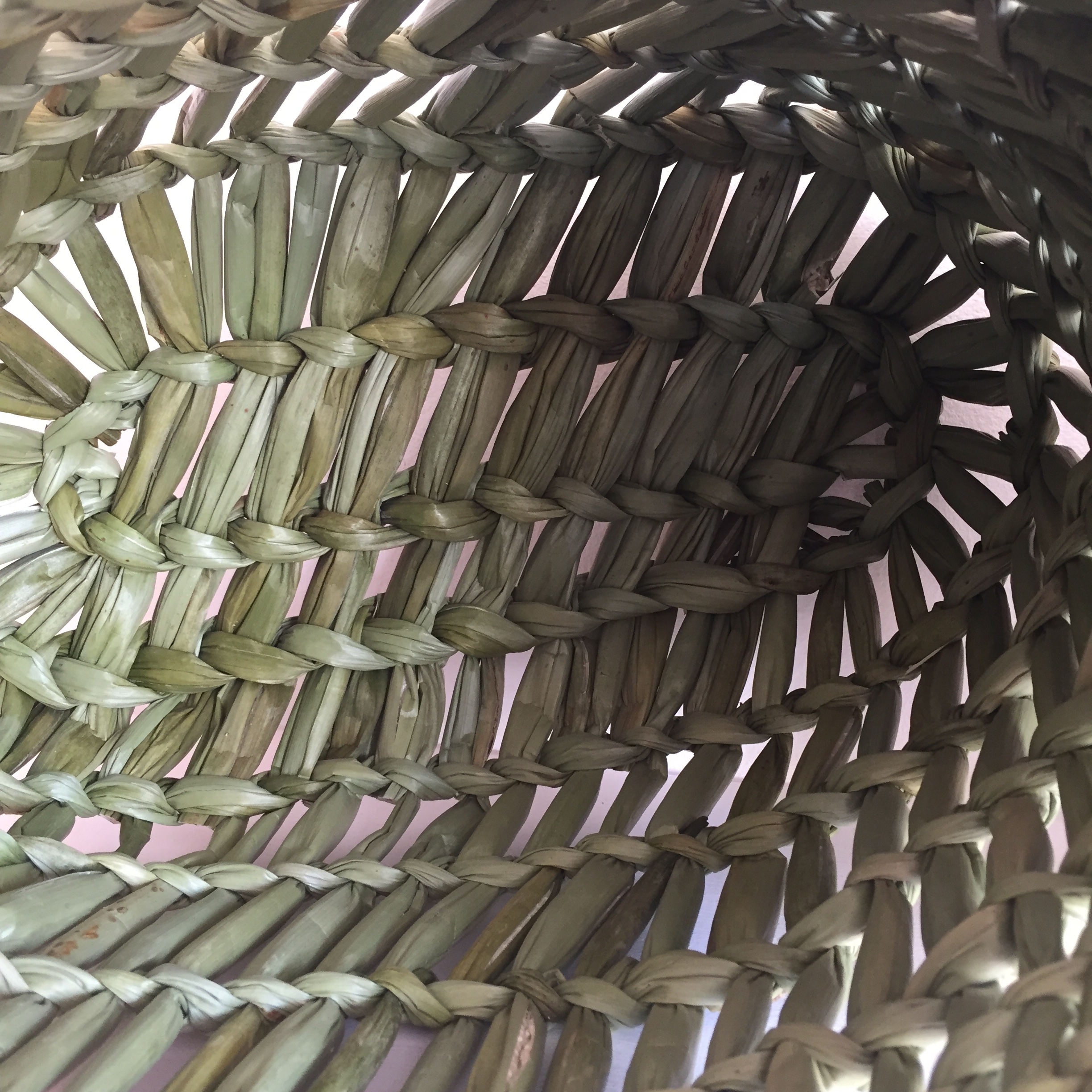 Gallery – Ely Basketmaker