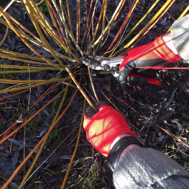 Gallery – Ely Basketmaker