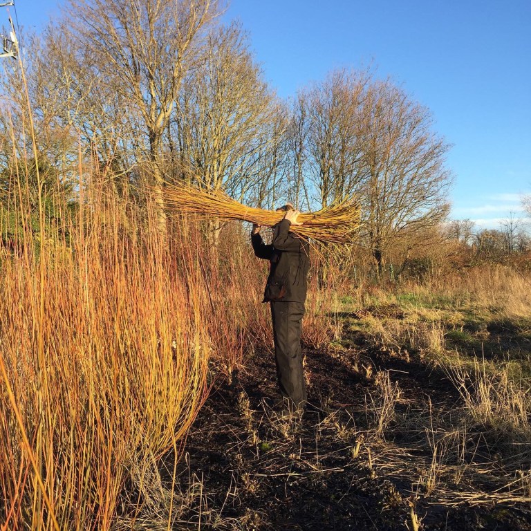 Gallery – Ely Basketmaker
